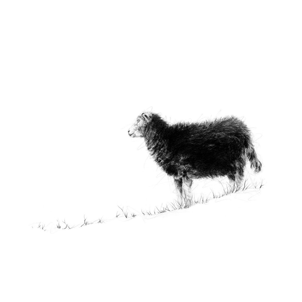 On The Lookout Cumbrian Artist David Pooley on-the-lookout-cumbrian-artist-david-pooley