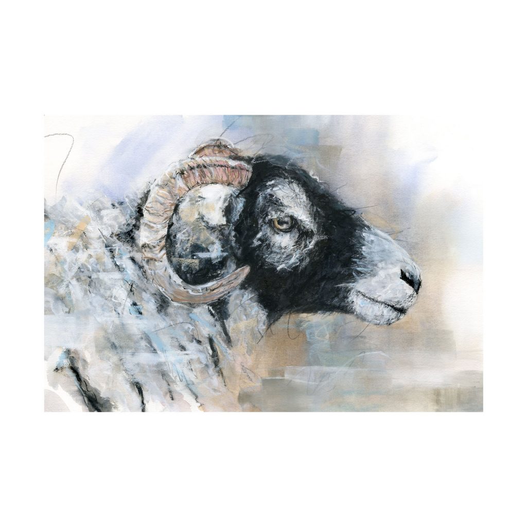 Swaledale Profile - Cumbrian Artist David Pooley