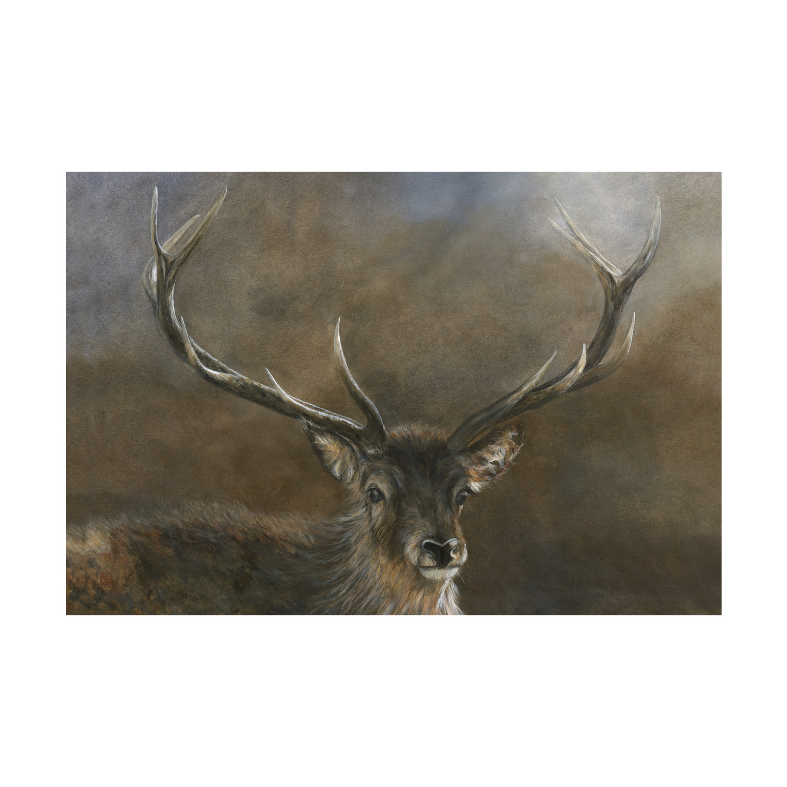 Caesar - Cumbrian Artist David Pooley