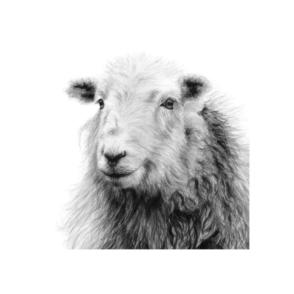 Agnes - Cumbrian Artist David Pooley