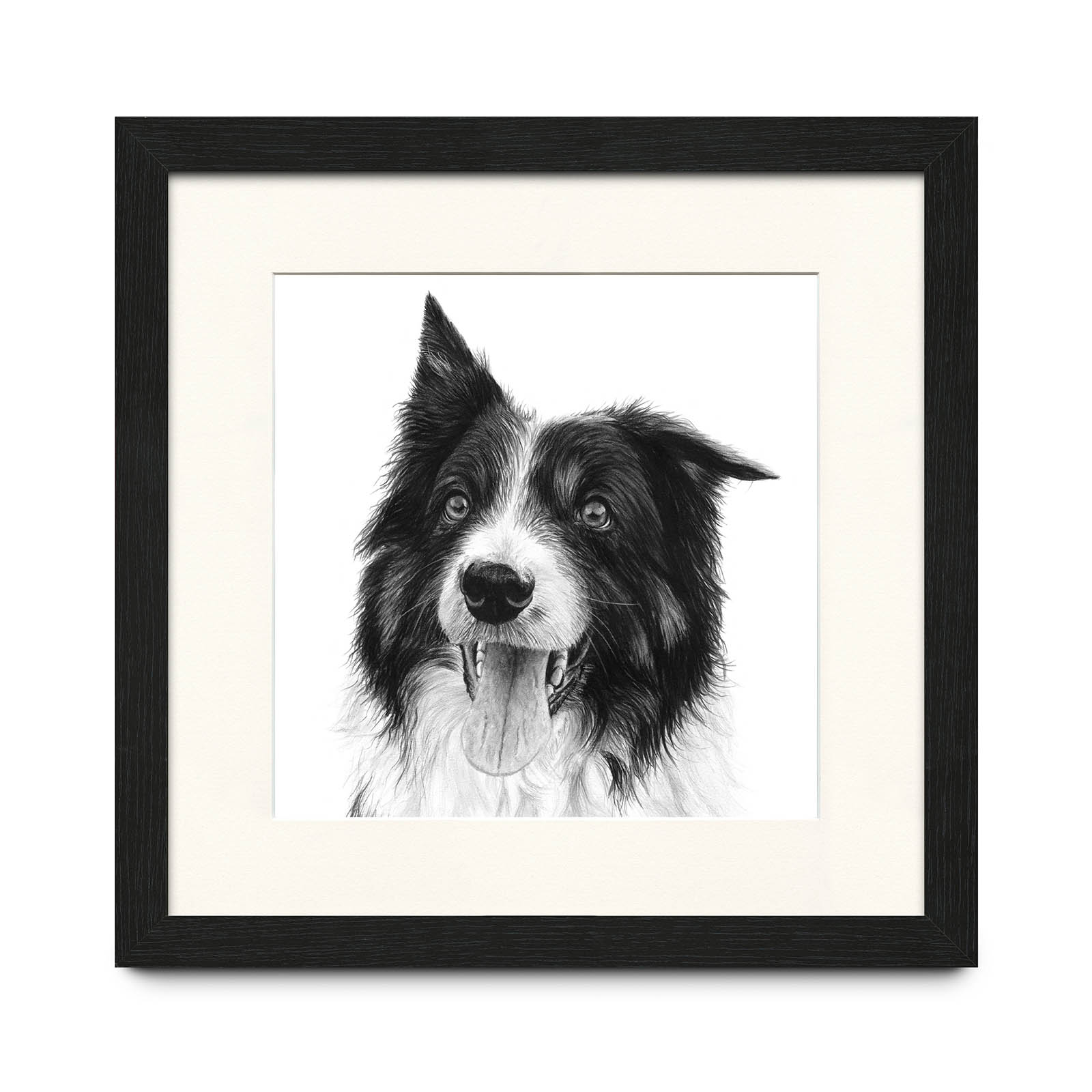Border Collie - Cumbrian Artist David Pooley