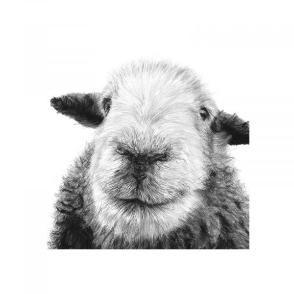 Aries - Cumbrian Artist David Pooley