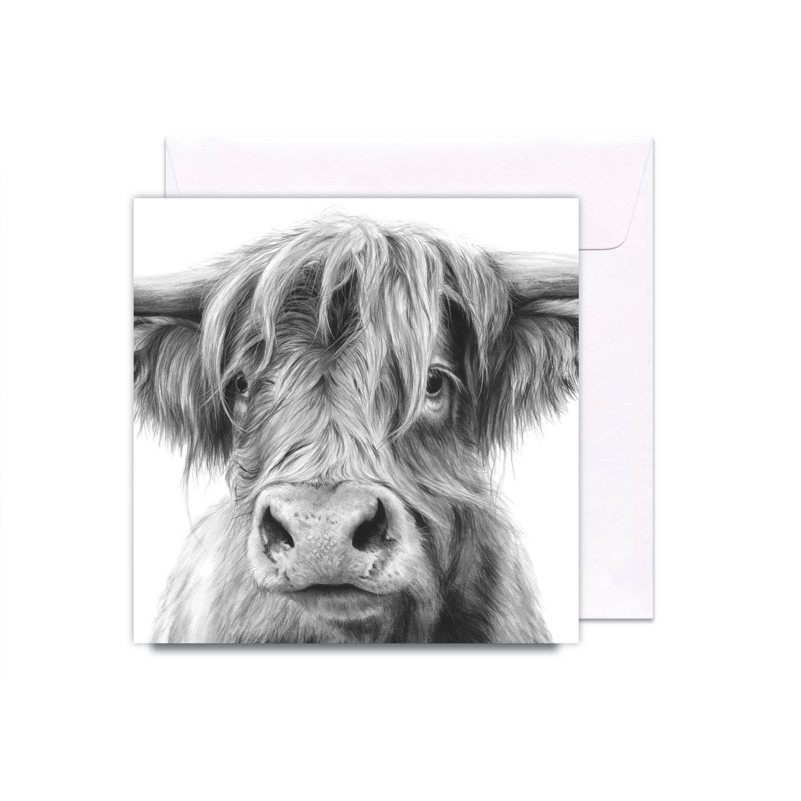 Morag Cumbrian Artist David Pooley Morag Cumbrian Artist David Pooley