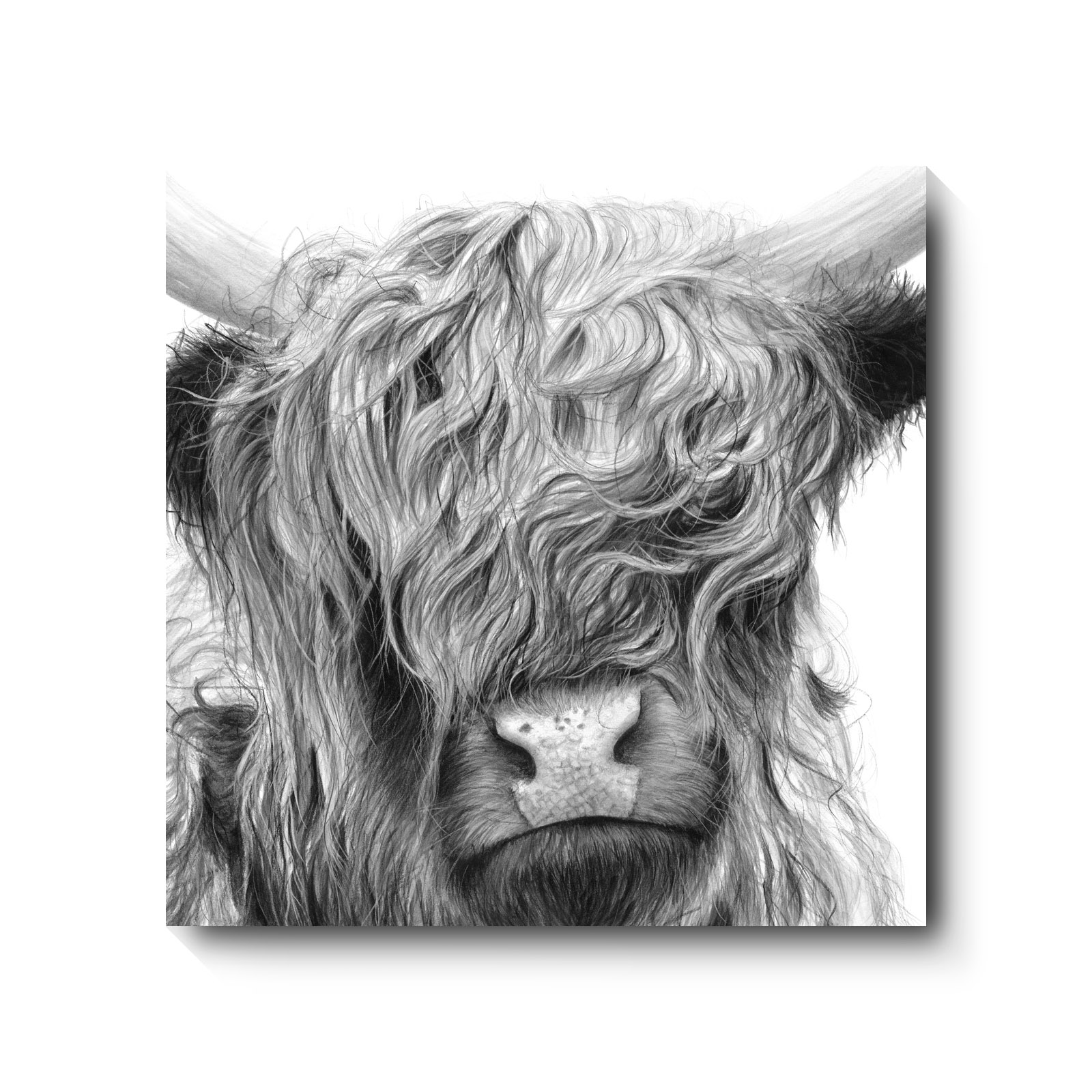 Dougal - Cumbrian Artist David Pooley