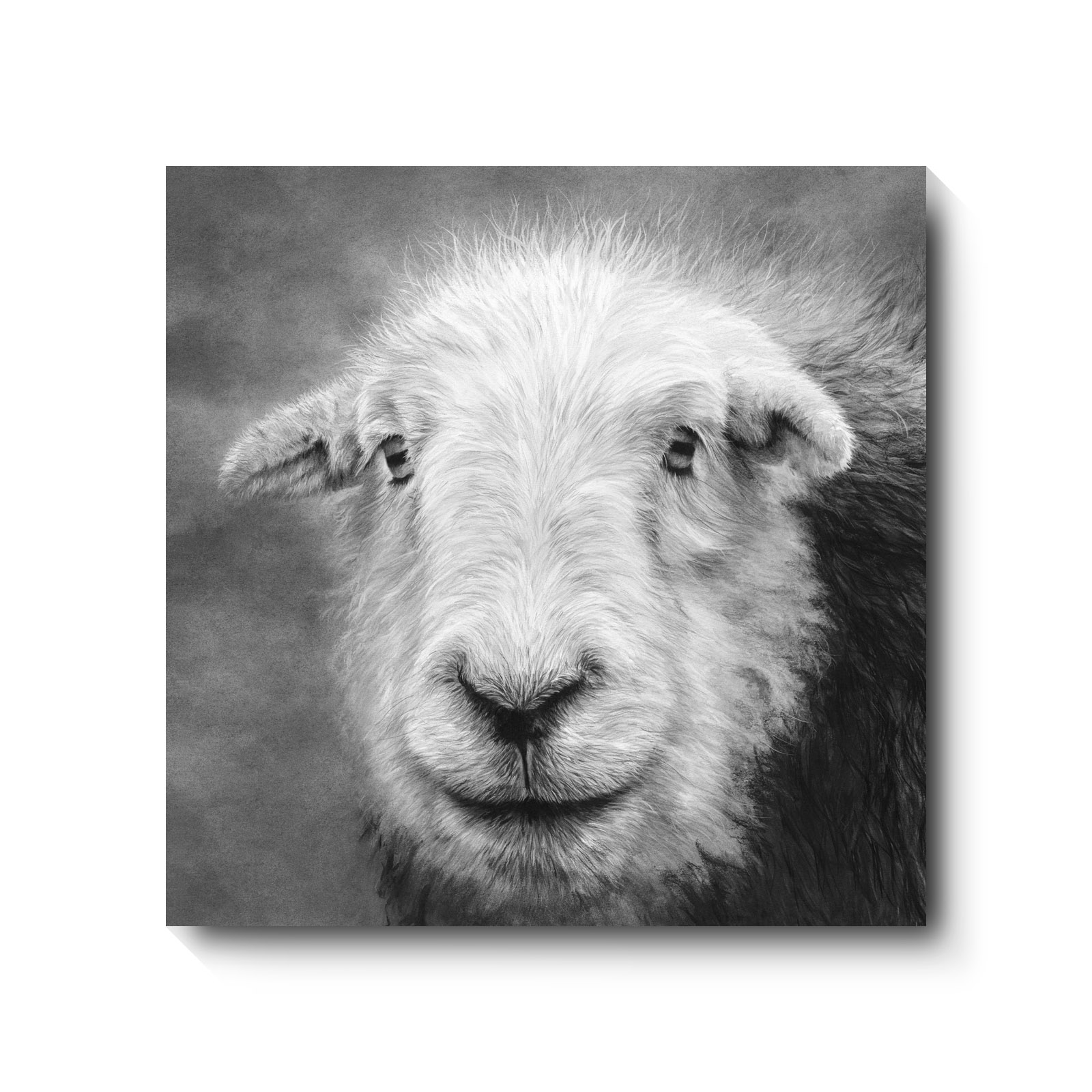 Beatrix - Cumbrian Artist David Pooley